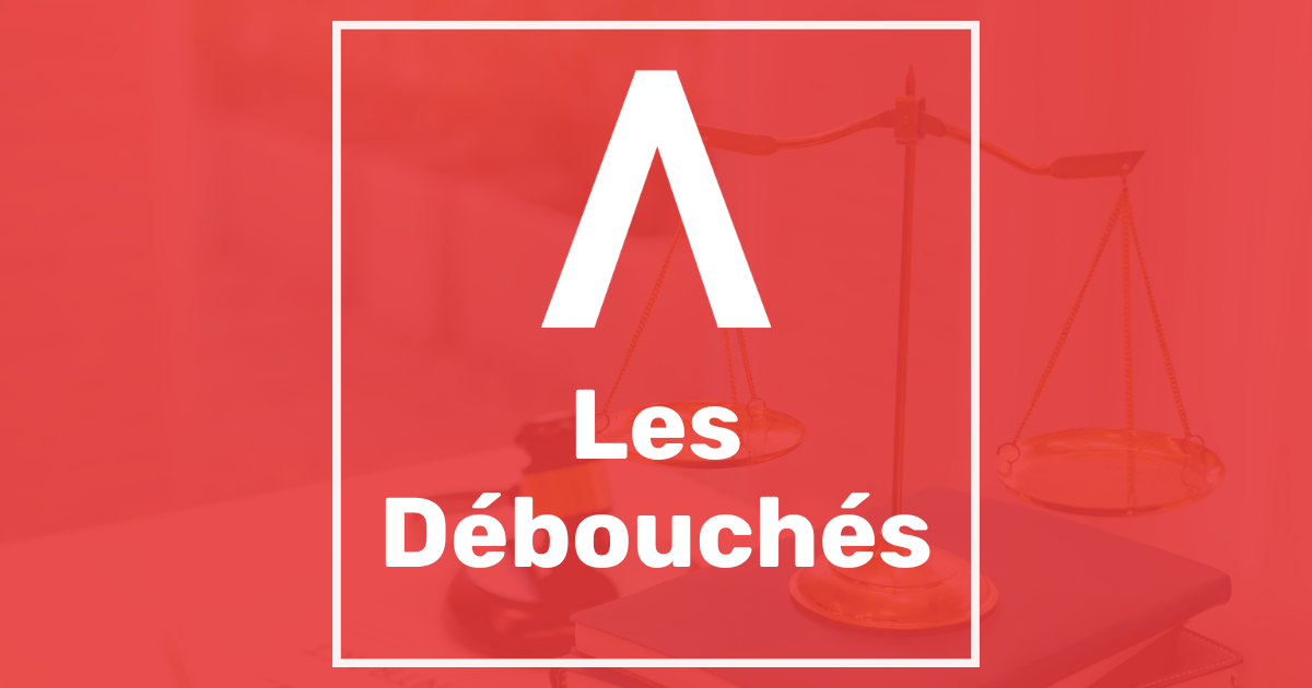 Études de droit : les débouchés - Capavocat